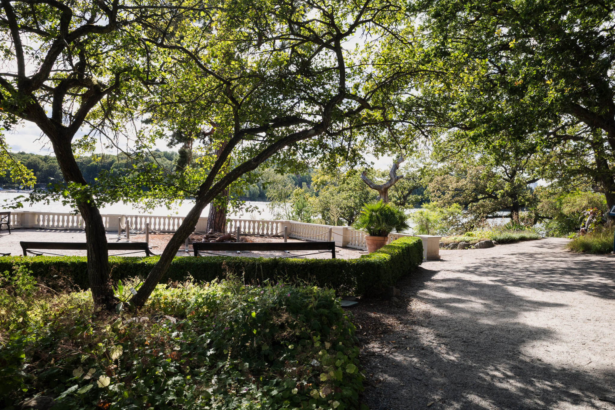 Escape the city at Bergianska trädgården, Stockholm’s botanical garden