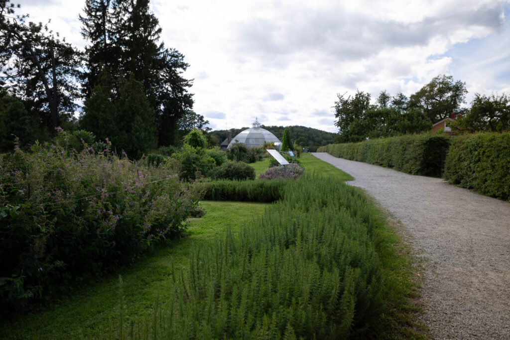 Escape the city at Bergianska trädgården, Stockholm’s botanical garden